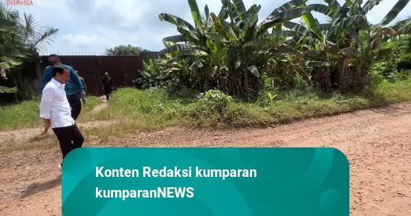 Setelah Lampung, Jokowi Terjang Jalan Rusak Parah di Jambi | kumparan.com